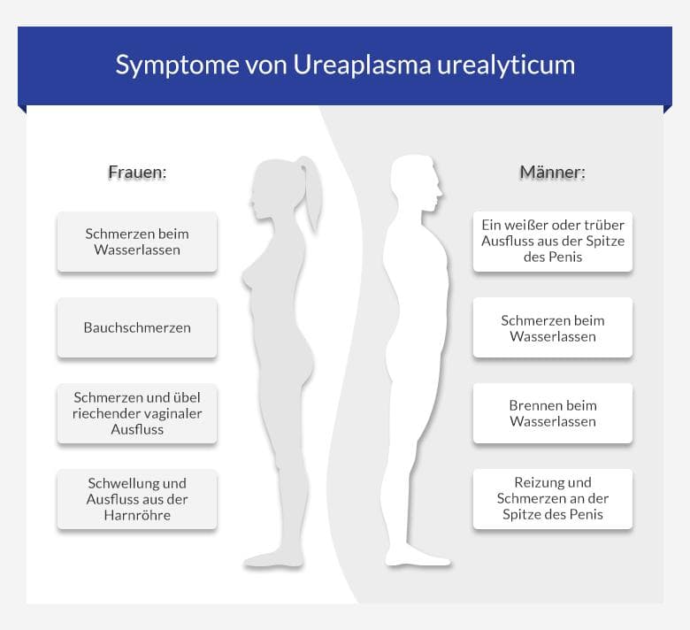 Ureaplasma Symptome Und Therapie Auf Euroclinix