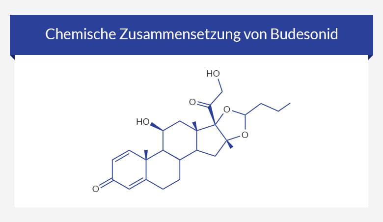 Pulmicort Spray kaufen • Rezept inkl. • euroClinix®