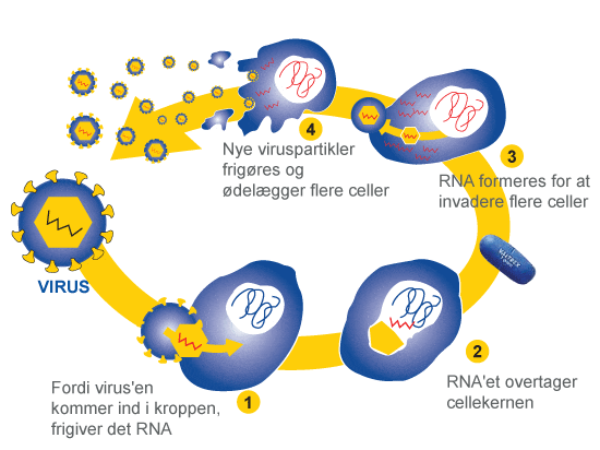 Valtrex • Køb behandling online mod Herpes