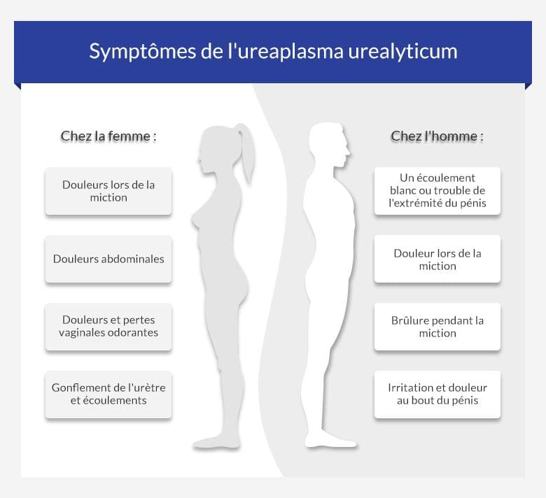 Ureaplasma Urealyticum | Traitements | euroClonix